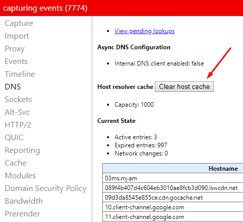 How to Clear the DNS Resolver Cache and Flush Socket Pools in Chrome Browser | Alexander's Blog